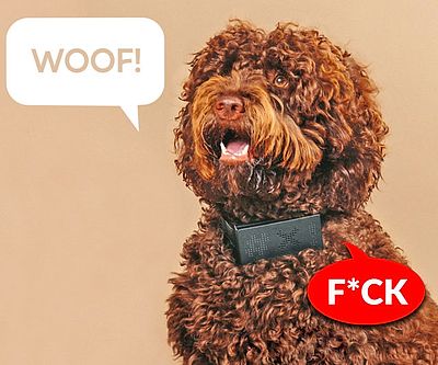 Dog swear store